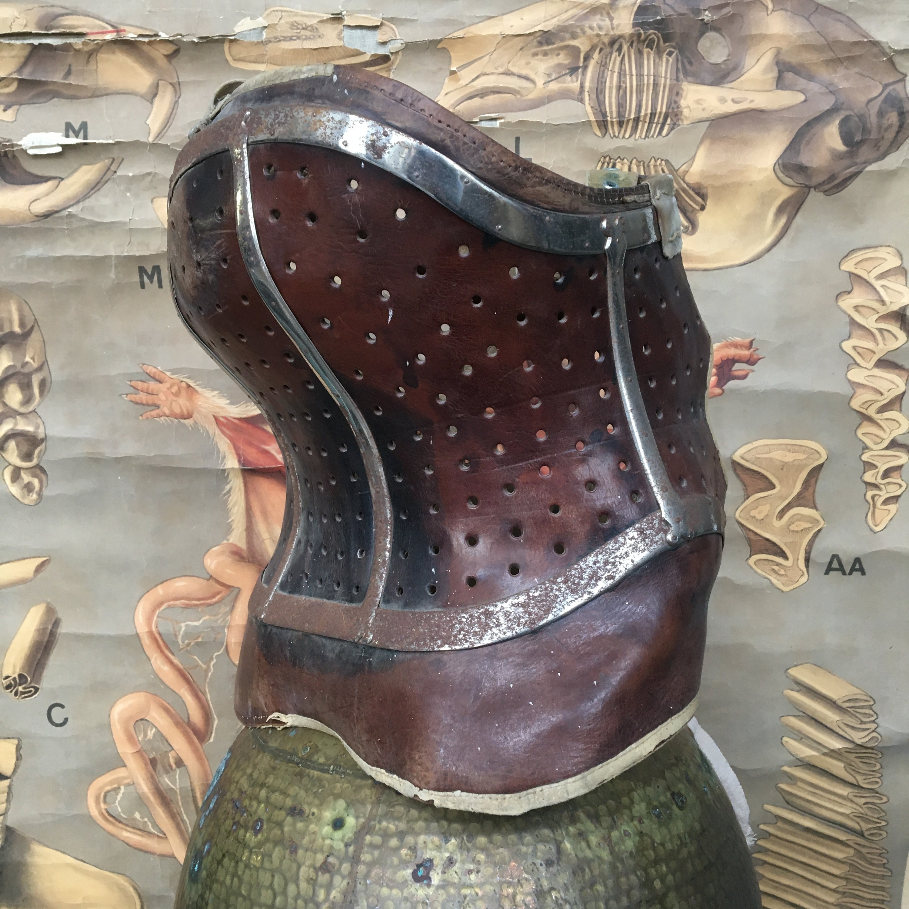 Antique 1800s Medical Leather Orthopaedic Corset Corrective Posture ...