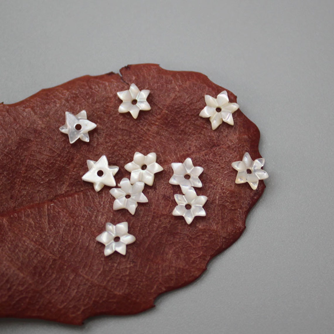 20pcs 6mm Natural White MOP Flower Beads Mother of Pearl - Etsy