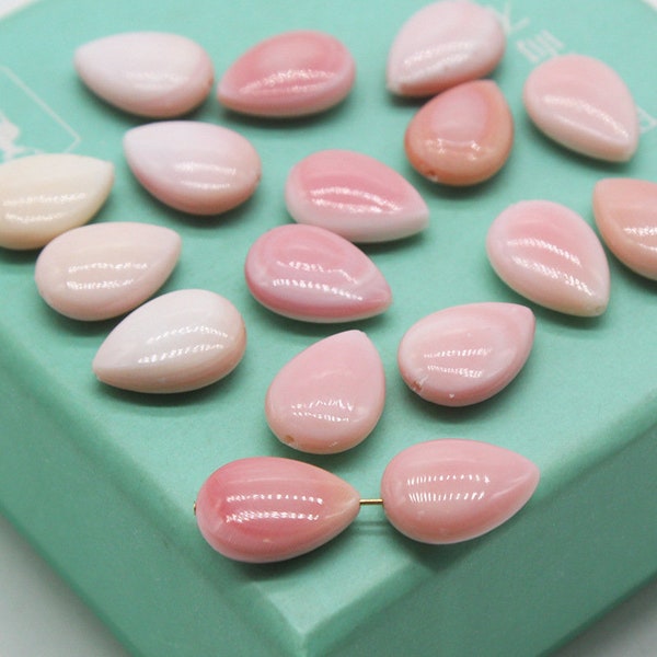 Conch Shell Beads - Etsy