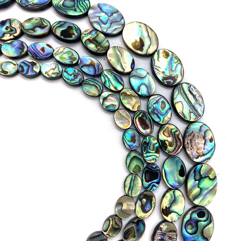 Drilled Abalone - Etsy