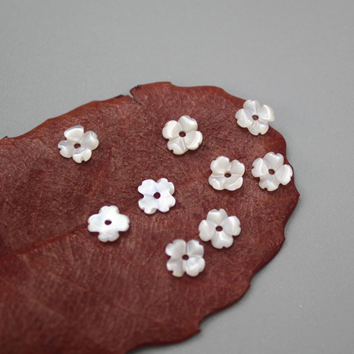 20pcs 6mm Natural White MOP Flower Beads Mother of Pearl - Etsy