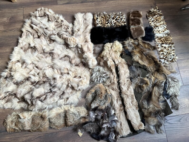 Huge Pile of Scrap Furs Fur Coat Scarves Collars Cross Fox, Beaver ...