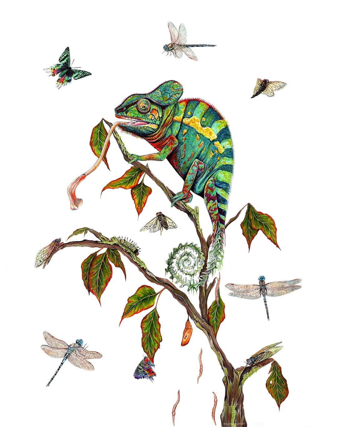 CHAMELEON PRINT, 'don't Bite off More Than You Can Chew'' Watercolor ...