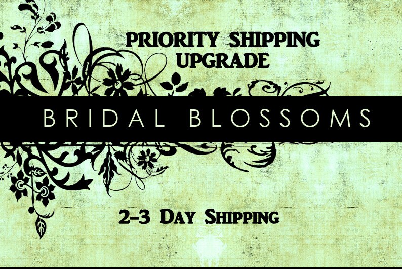 Shipping Upgrade - USPS Priority or Express Shipping Upgrade - 2-3 Day ...