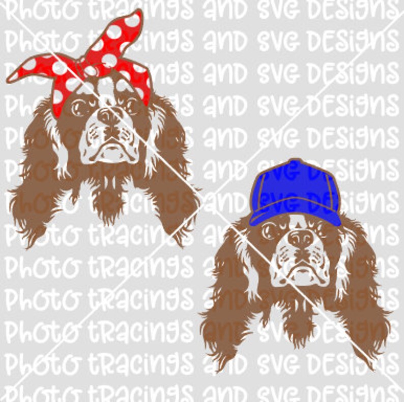 King Charles Cavalier Svg - Etsy