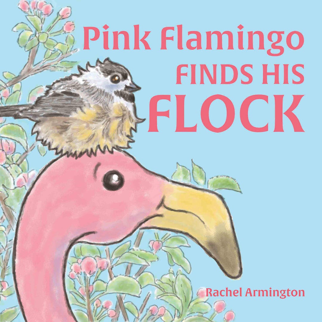 Pink Flamingo Finds His Flock Children's Picture Book Leominster Birds ...