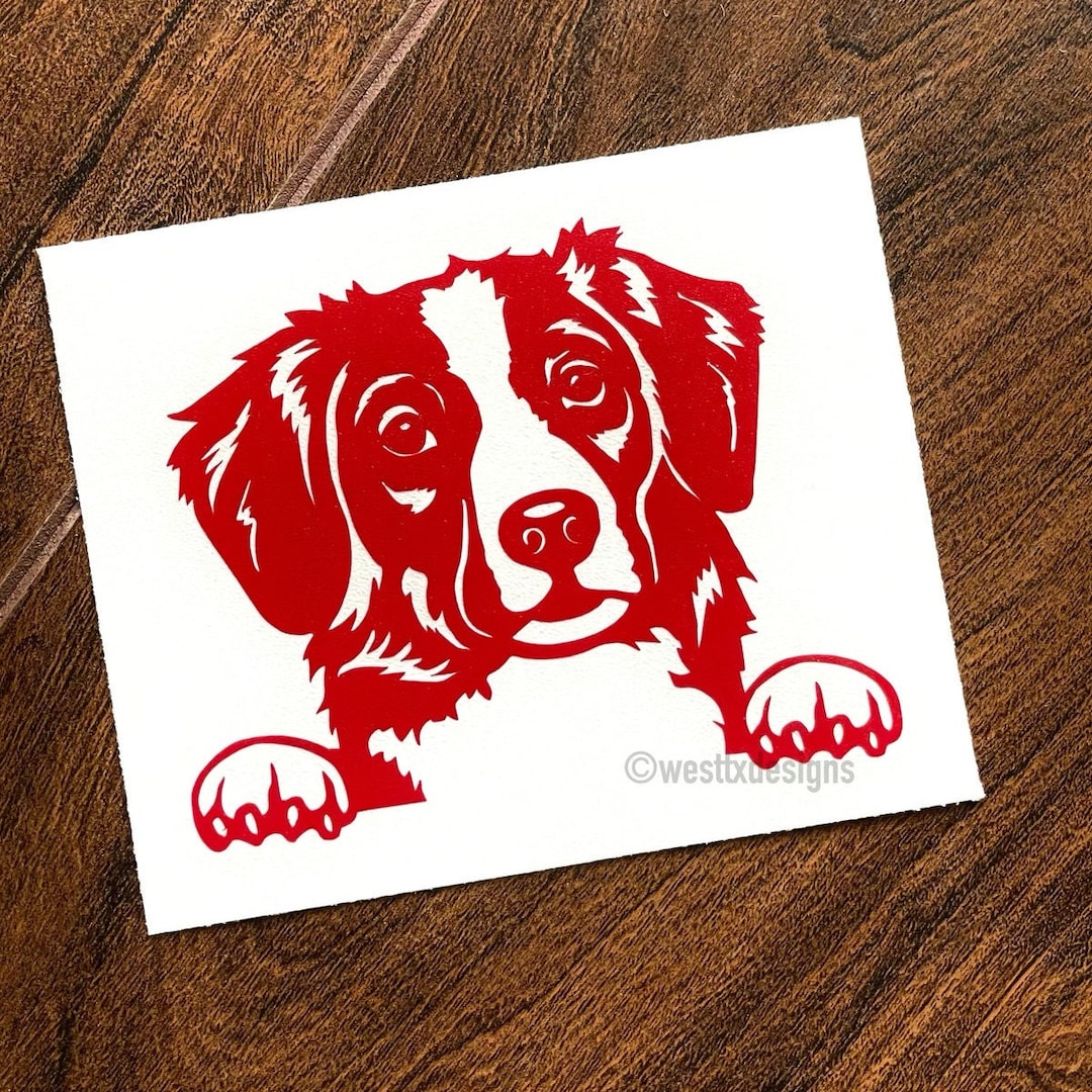Toller Decal | Peeking Toller Decal | Nova Scotia Duck Tolling ...