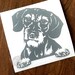 Cavapoo Decal Peeking Cavapoo Decal Cavapoo Sticker Dog Decal Car ...