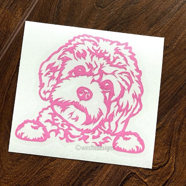 Cavapoo - Etsy