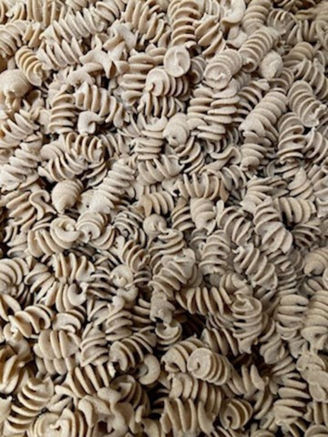 Organic Sprouted Sourdough Fusilli Pasta - Etsy