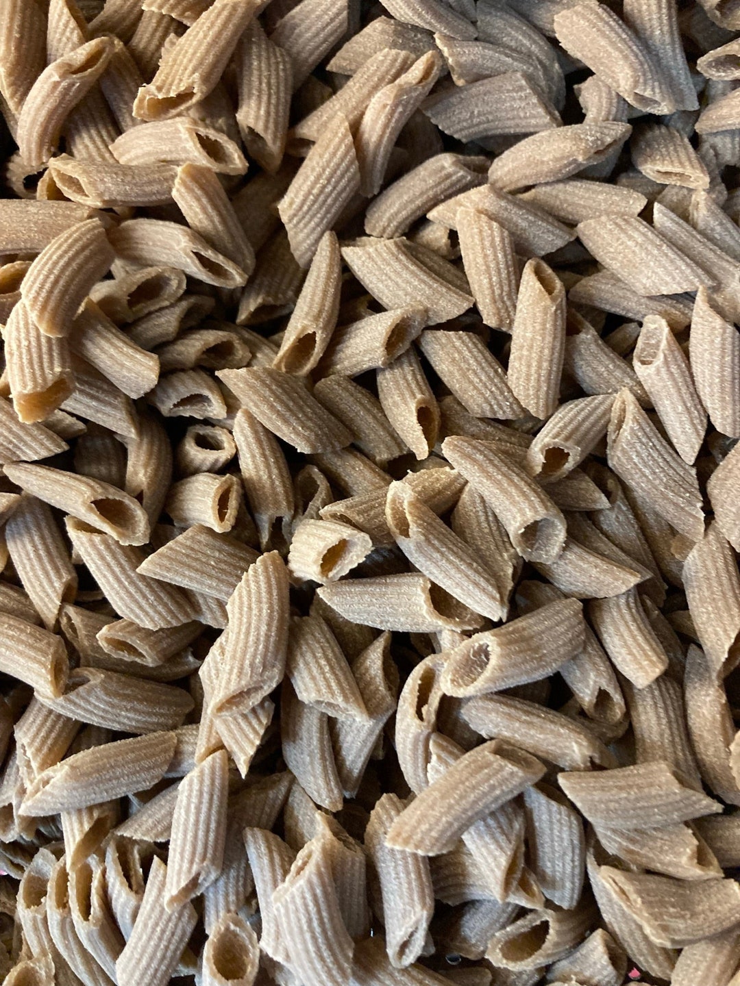 Organic Sprouted Sourdough Penne Pasta - Etsy