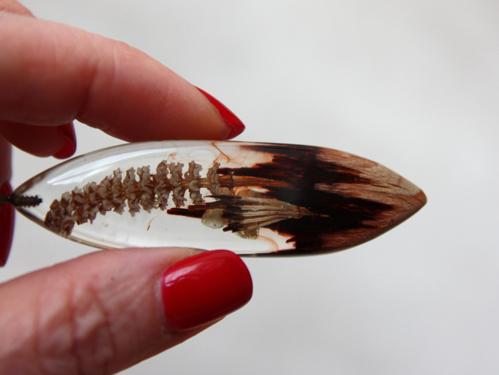 Pendant of Stained Beech field Horsetail and Epoxy Microcosm - Etsy