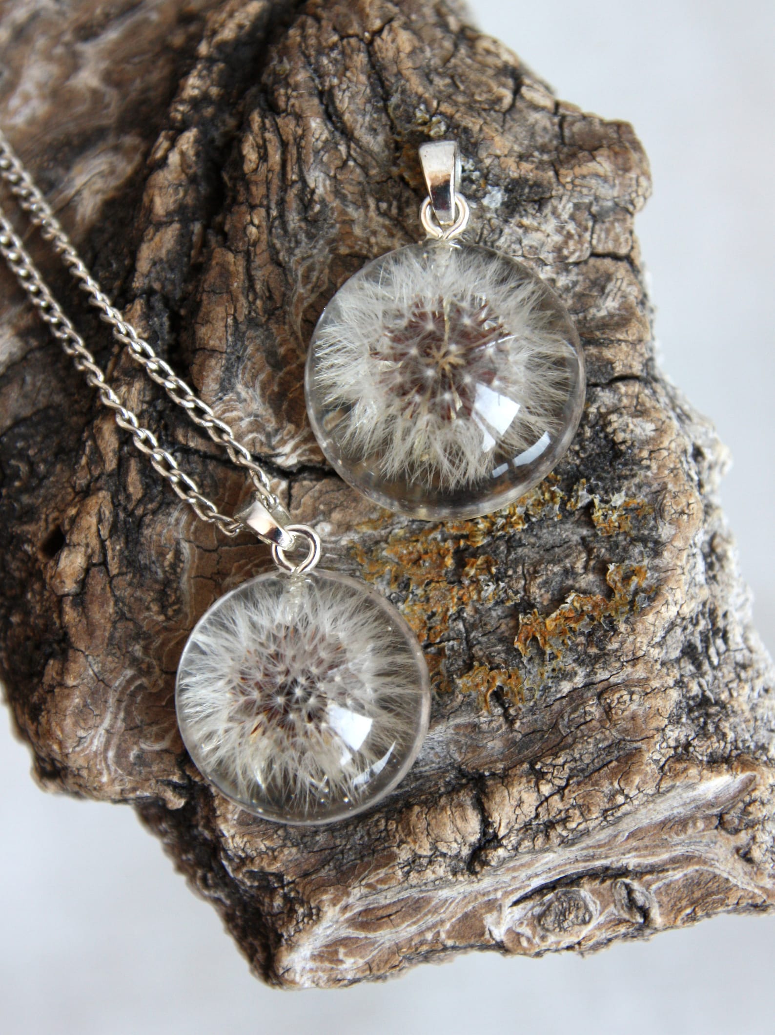 Real dandelion pendant Pendant dandelion and epoxy resin | Etsy