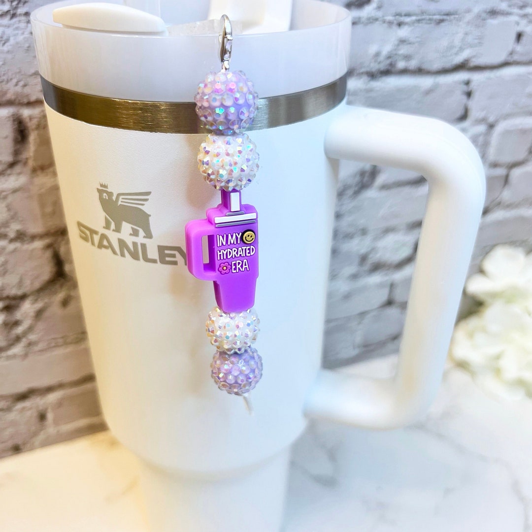 Purple in My Hydrated Era Cup Charms, Silicone Tumbler Charms, Stanley ...