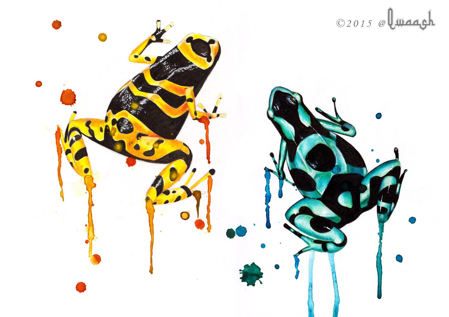Poison Arrows Print of a couple of poison arrow frogs from | Etsy