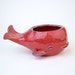 Animal Planter Whale, Whale Pot, Whale Ceramic Pot, Ceramic Pot, Planet ...