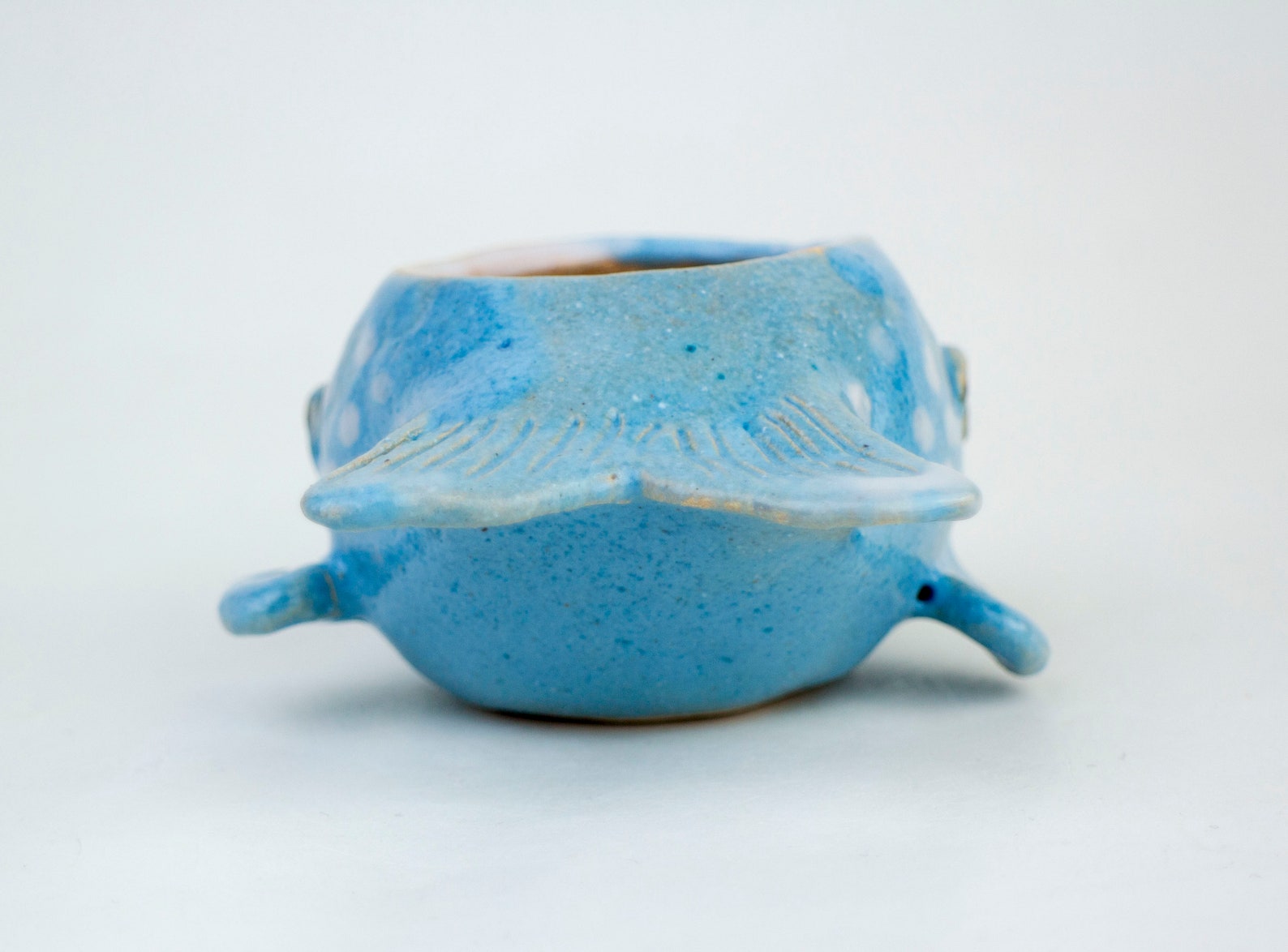 Animal Planter Whale Whale Pot Whale Ceramic Pot Succulent - Etsy