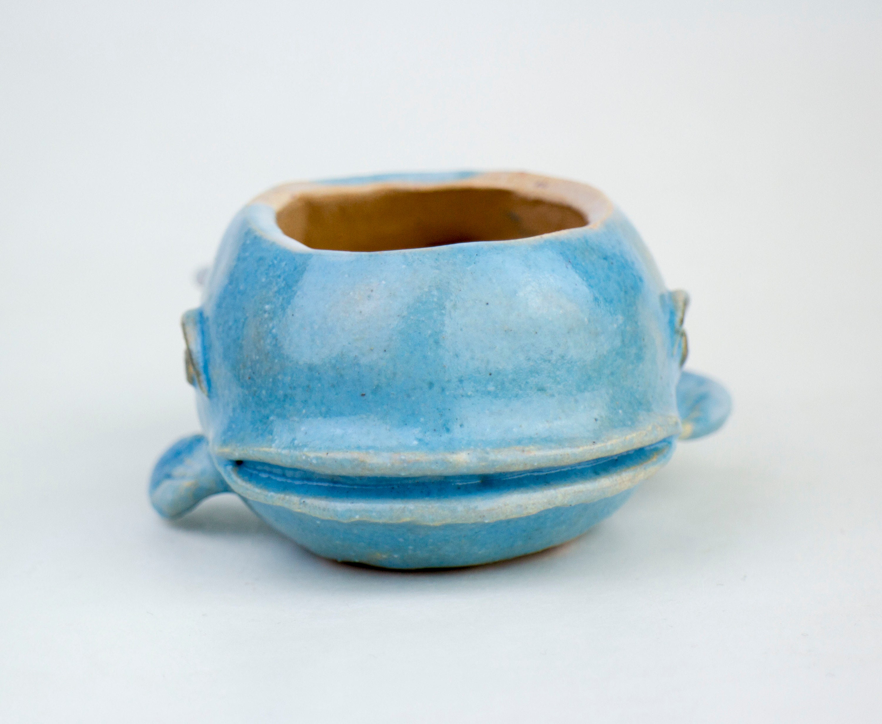 Animal Planter Whale Whale Pot Whale Ceramic Pot Succulent - Etsy