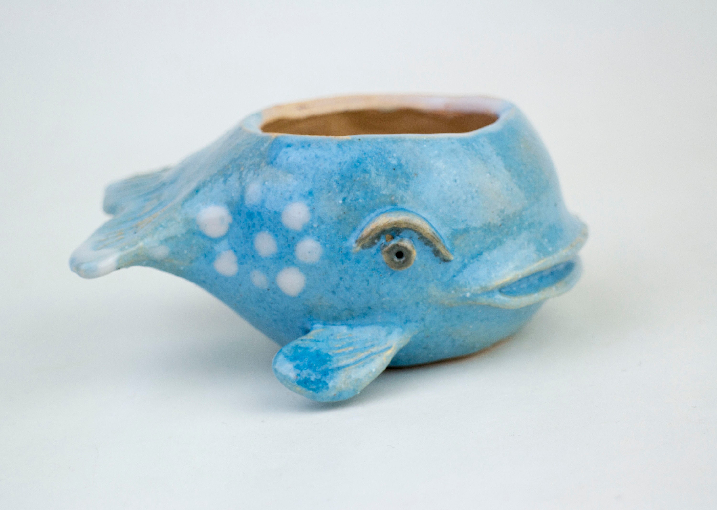 Animal Planter Whale Whale Pot Whale Ceramic Pot Succulent - Etsy
