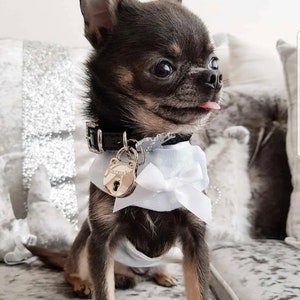 Personalised Silver Handcuff Padlock Dog Tag - Etsy UK