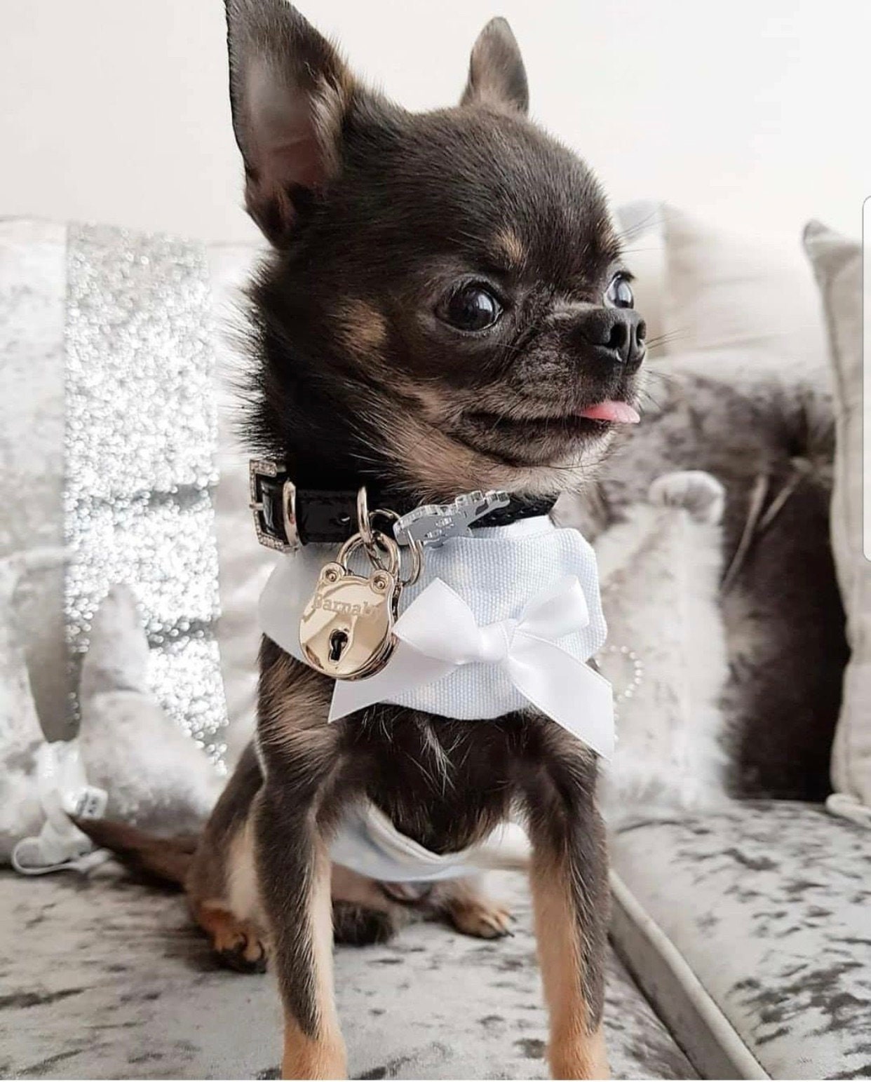 Personalised Silver Handcuff Padlock Dog Tag - Etsy UK