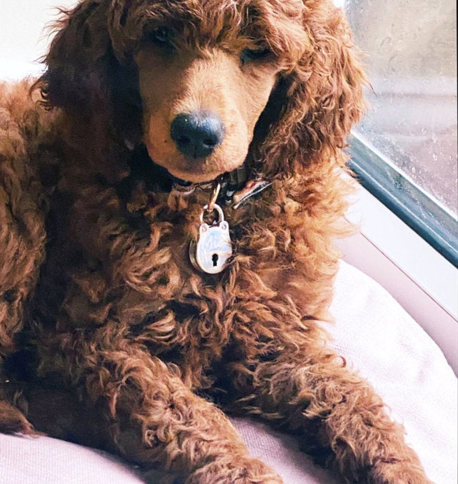 Personalised Silver Handcuff Padlock Dog Tag - Etsy UK