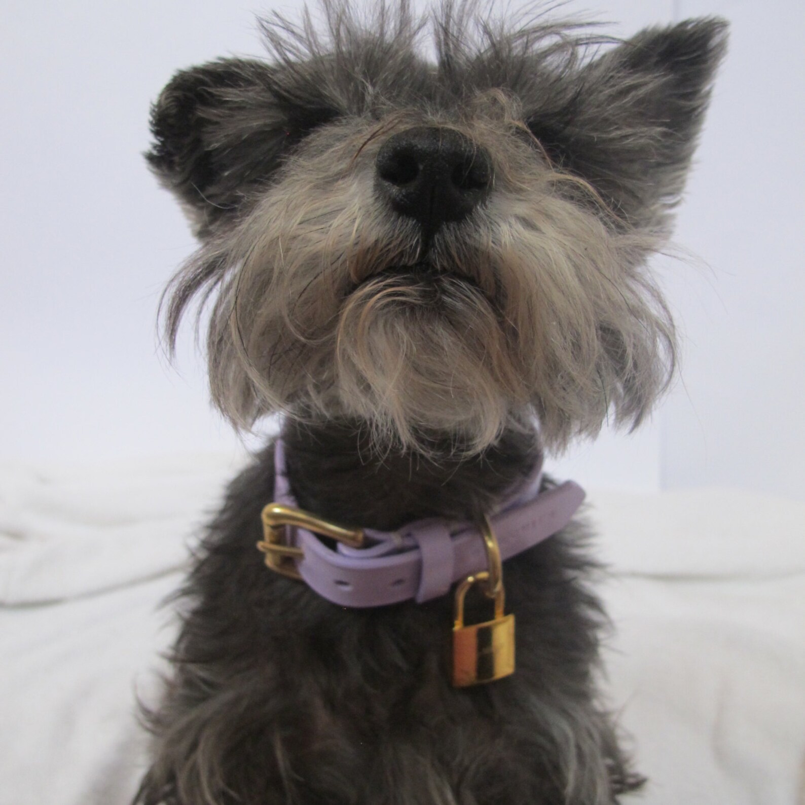 Personalized Rose Gold Square Padlock Dog Tag - Etsy