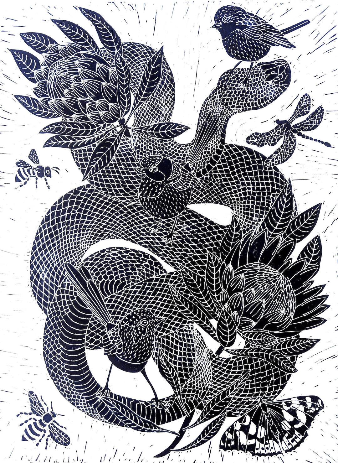 Snake With Protea's and Fairy Wrens Lino Print, Original Art, Wall Art ...