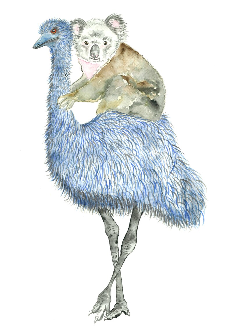 Koala Hitching a Ride on an Emu, Giclée Print, Australiana Wall Art ...