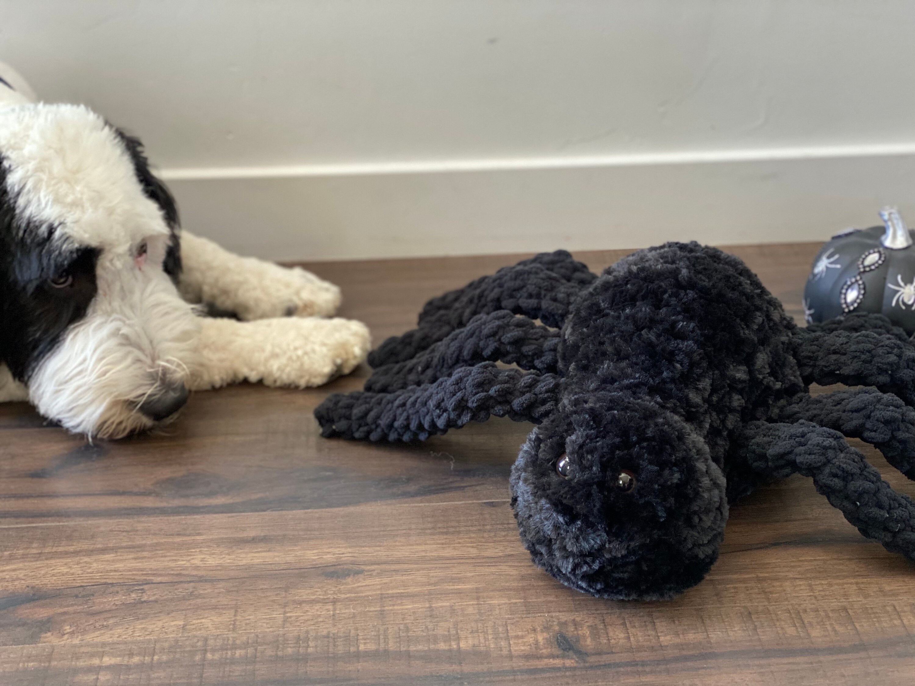 Leo the Spider PDF DIGITAL DOWNLOAD Crochet Pattern Cute | Etsy