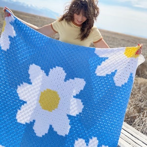 The Daisy Day Throw PDF DIGITAL DOWNLOAD Crochet Pattern, C2C Crochet ...