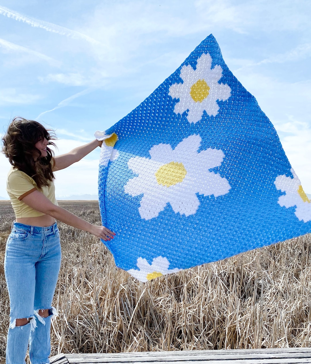 The Daisy Day Throw PDF DIGITAL DOWNLOAD Crochet Pattern, C2C Crochet ...