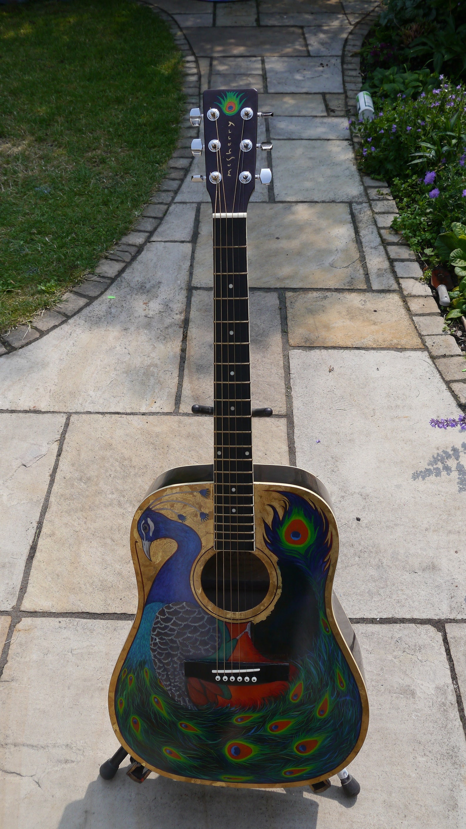 Peacock Guitar by Kevin Mcsherry - Etsy