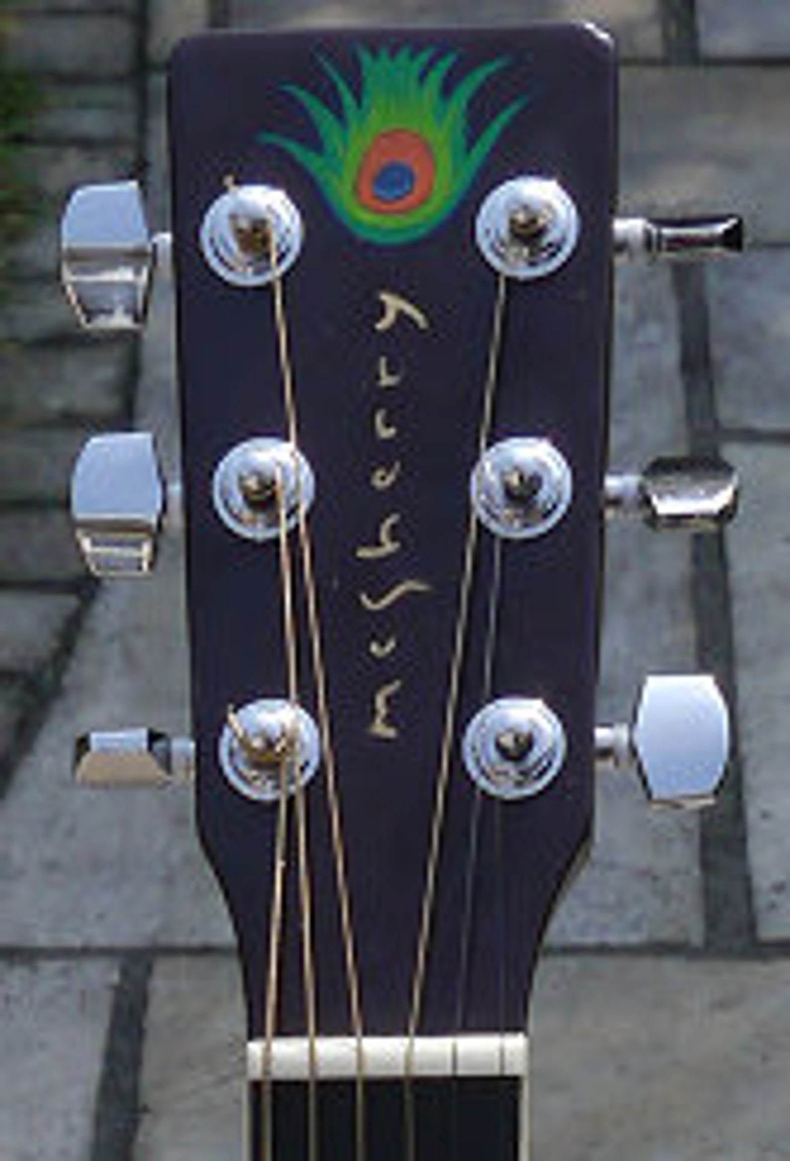 Peacock Guitar by Kevin Mcsherry - Etsy