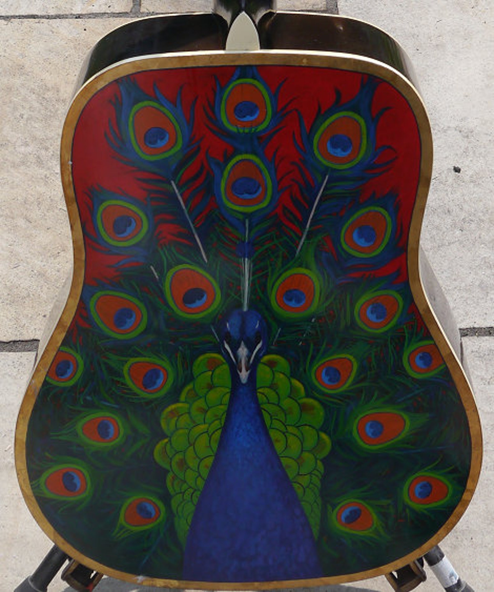 Peacock Guitar by Kevin Mcsherry - Etsy