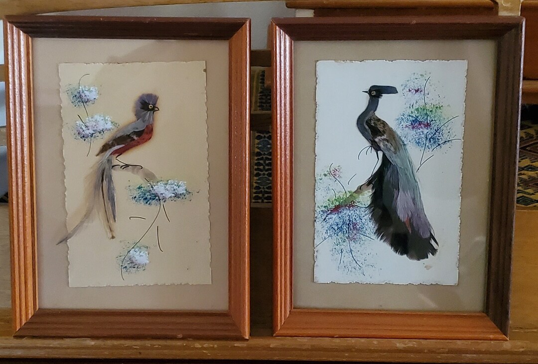 Pair Vintage Feather Art Bird Pictures Mexico - Etsy