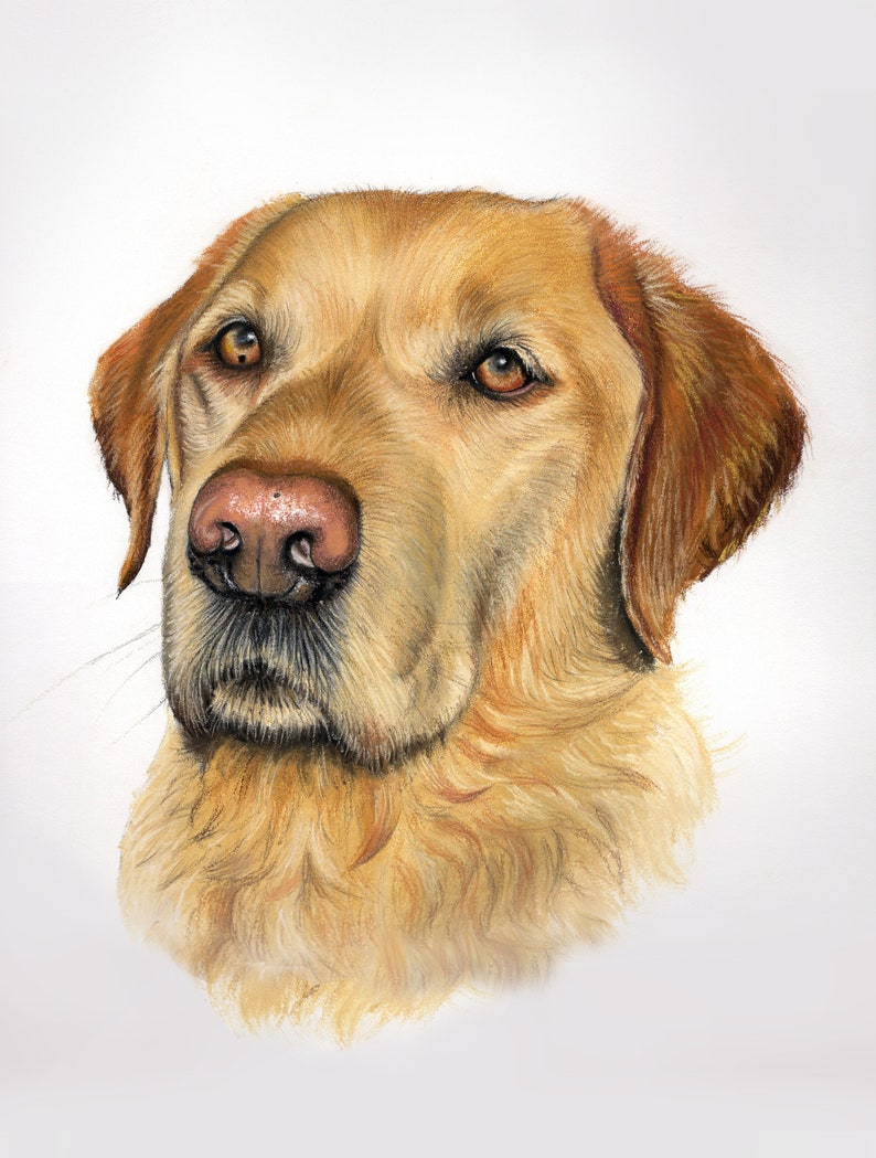Pastel Dog Portrait Pet Portraits Custom Pet Portrait - Etsy