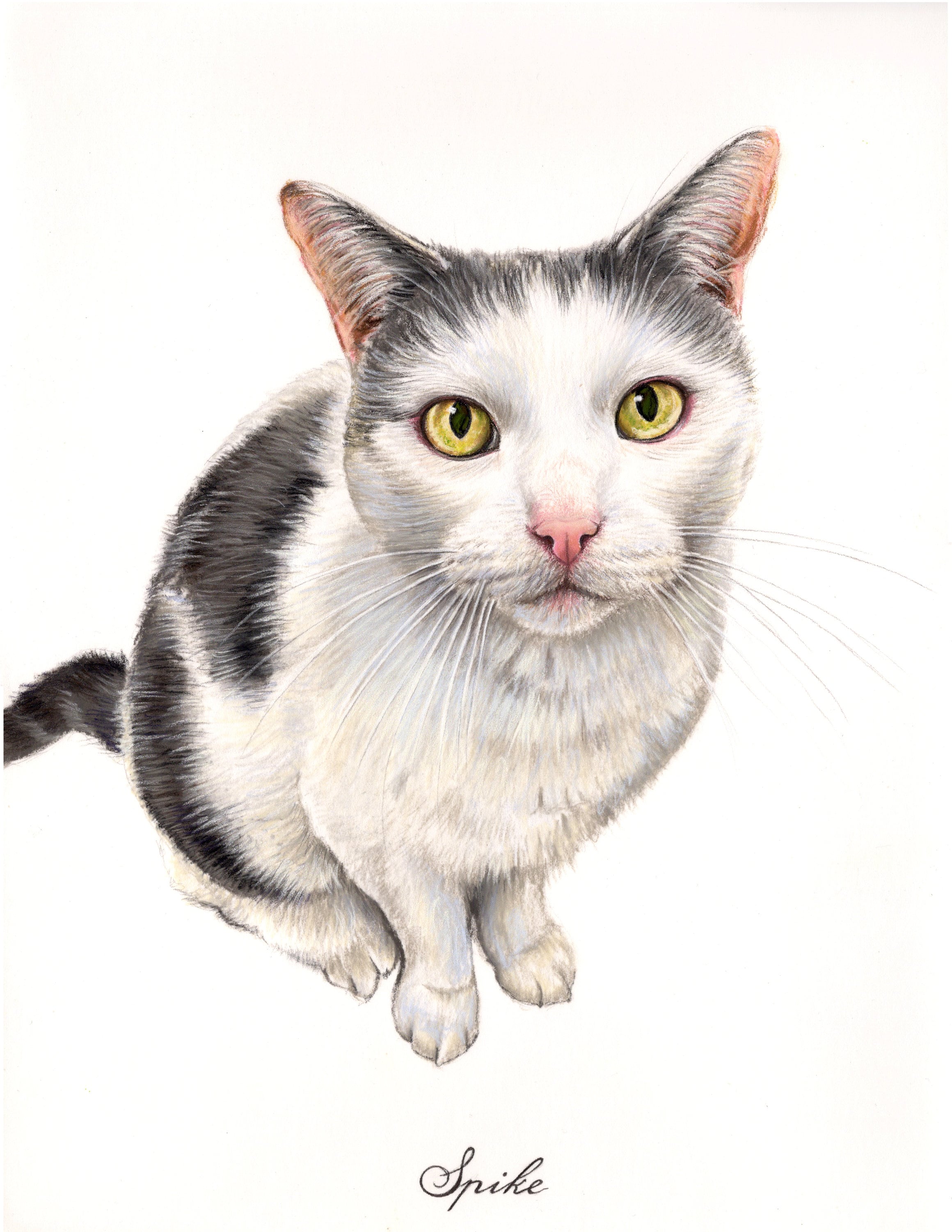 Realistic Pastel Pet Portrait Pet Portraits Custom Pet - Etsy UK