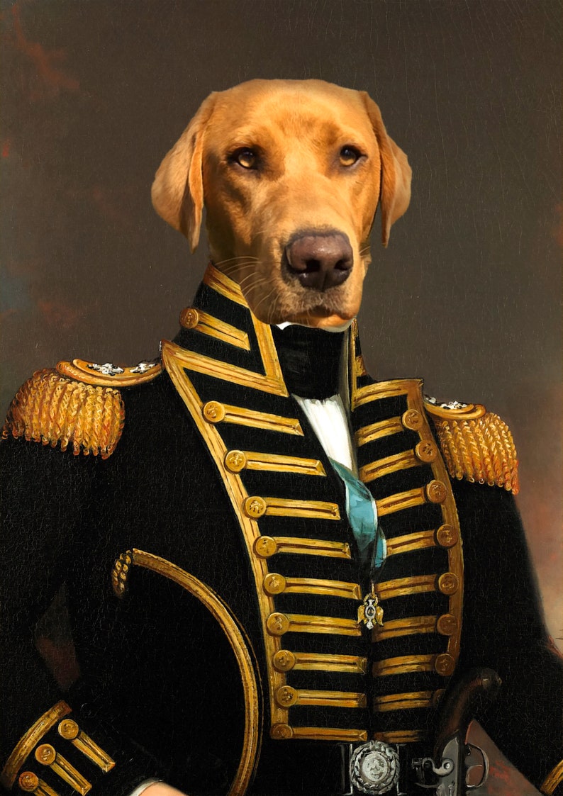 Dog Portrait as Royal Dog Admiral King - Etsy UK