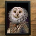 Renaissance Barn Owl Vintage Portrait, Animal Painting Wall Art Print ...