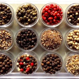 PEPPERCORNS of the WORLD Sampler, 12 Samples of Gourmet All Natural ...