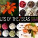 PEPPERCORNS of the WORLD Sampler, 12 Samples of Gourmet All Natural ...