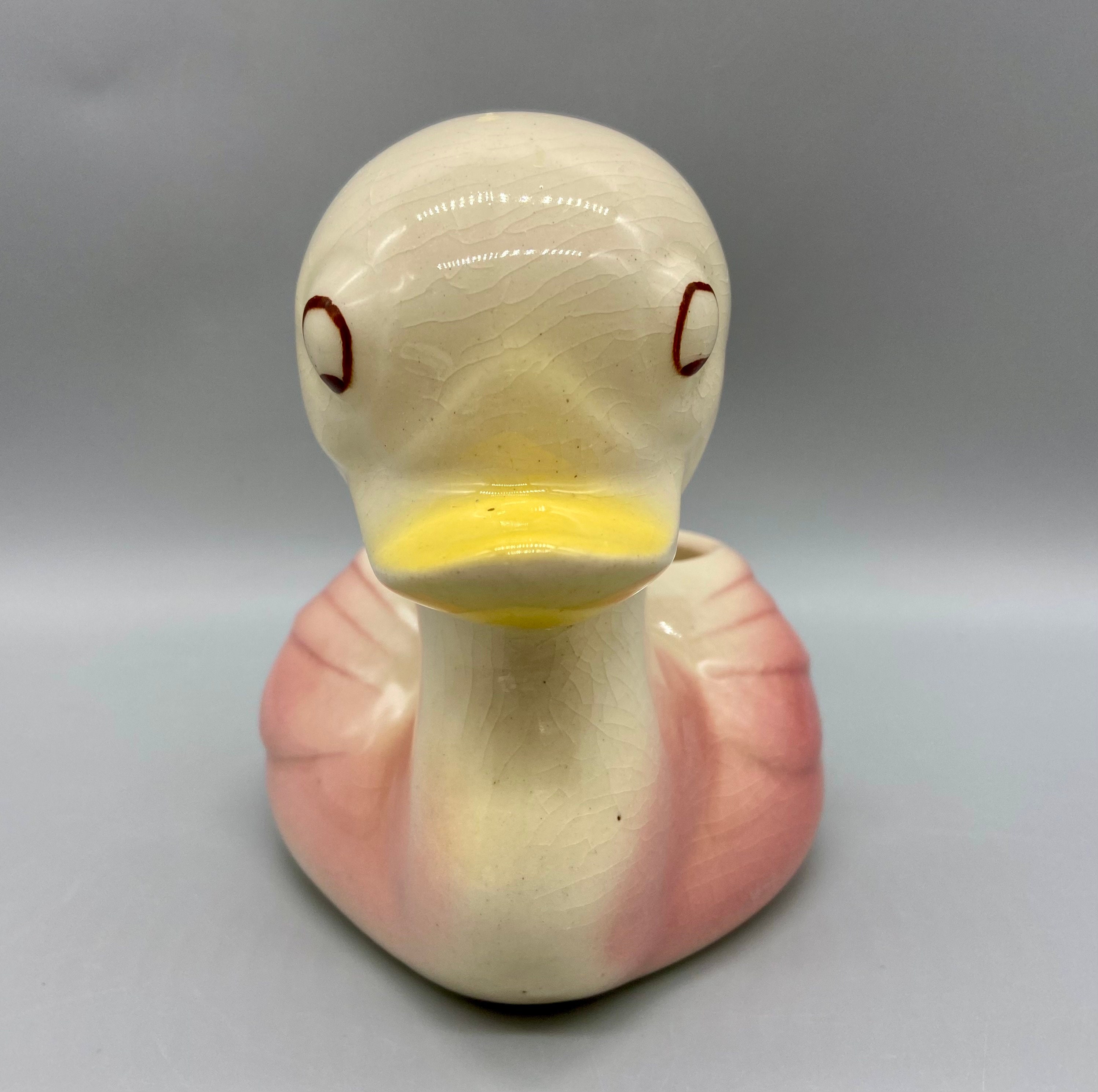 Duckling Planter Pink Baby Duck Yellow Bill Big Brown Eyes | Etsy