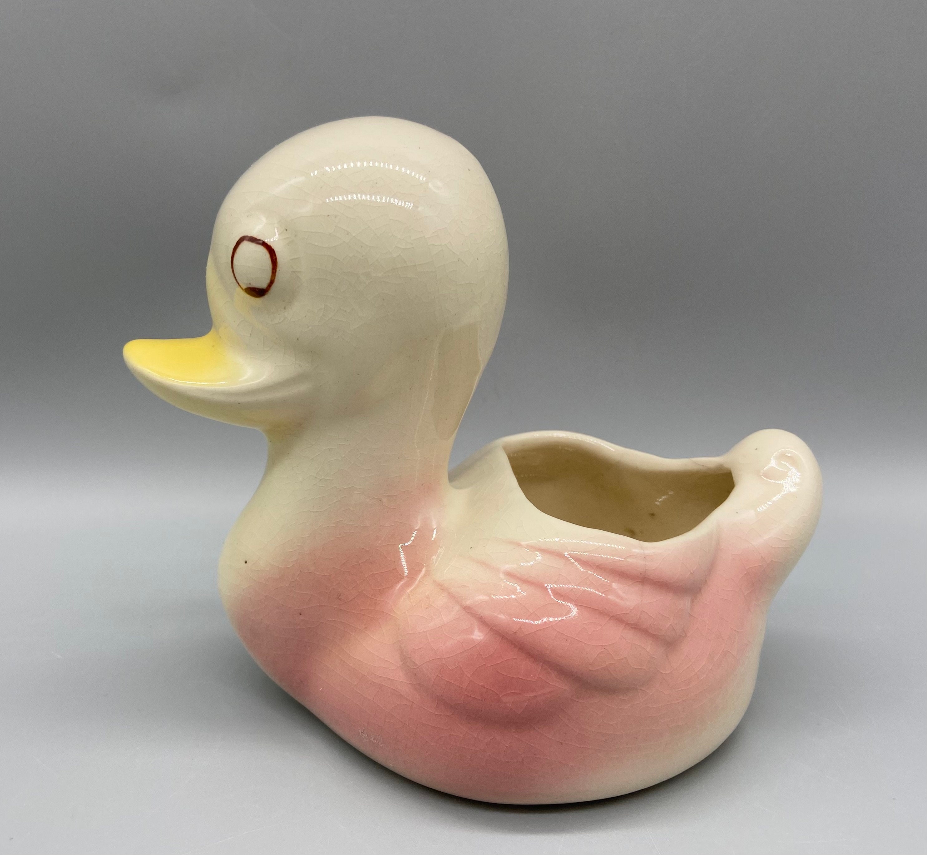 Duckling Planter Pink Baby Duck Yellow Bill Big Brown Eyes | Etsy