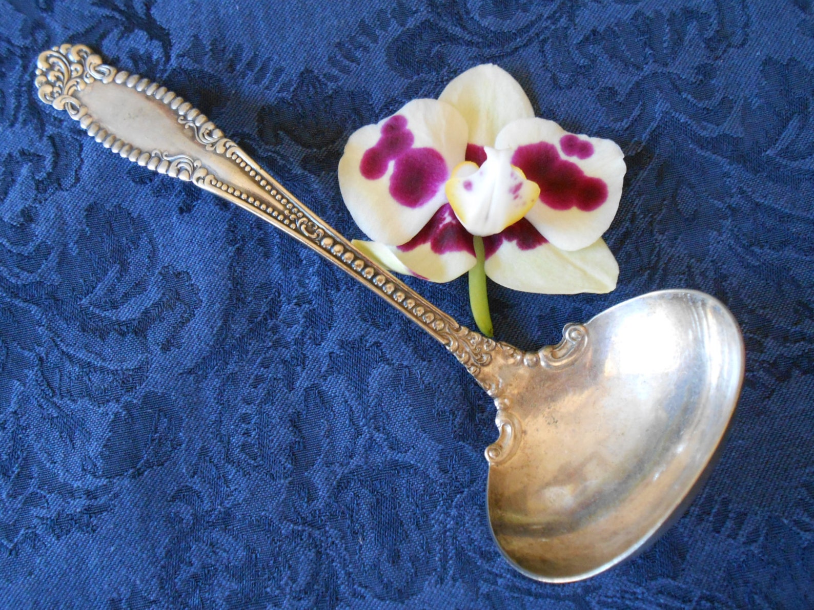 H. T. MFG CO. / International Silver Company A1 Silver Plate Gravy ...