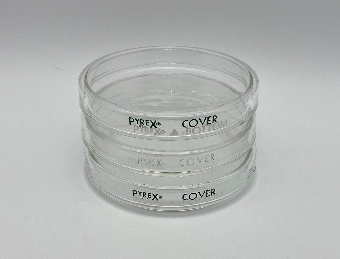 Pyrex Glass Petri Culture Dishes Lab Medical Equipment, Set of 3 - 3 ...