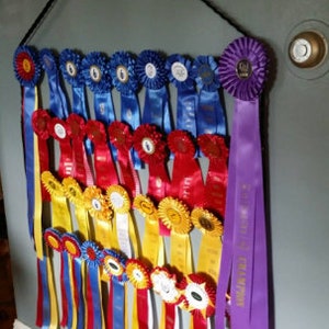 Custom Equestrian Horse Show Ribbon Display Award Holder holds 75 ...