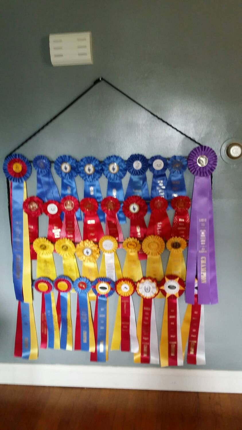 Horse Show Ribbon Display Made With NEW Leather English - Etsy