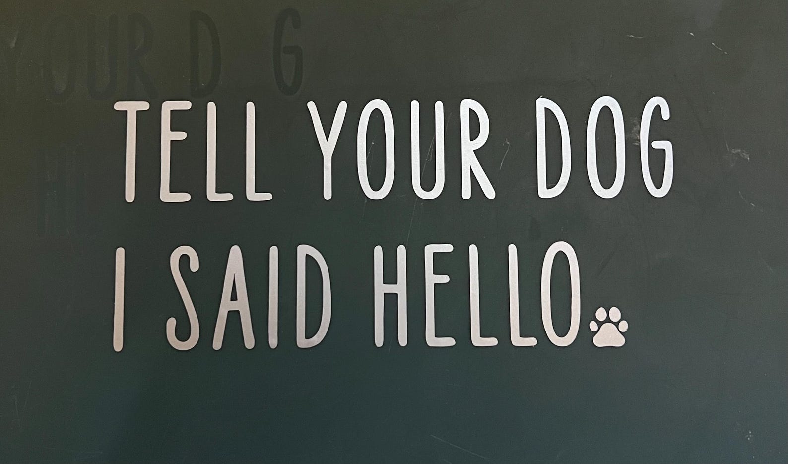 Tell Your Dog I Said Hello Decal - Etsy