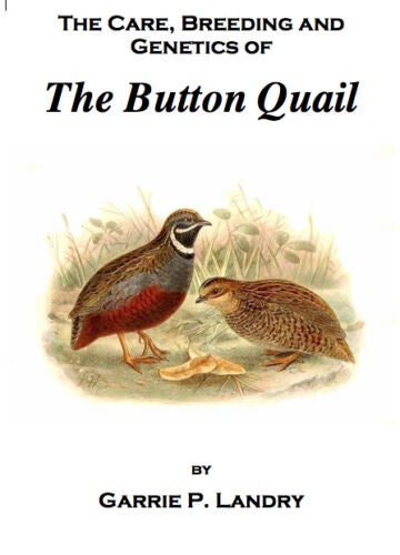 Himalayan Quail